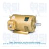 Motor ABB Baldor EM3313T-G - RSI